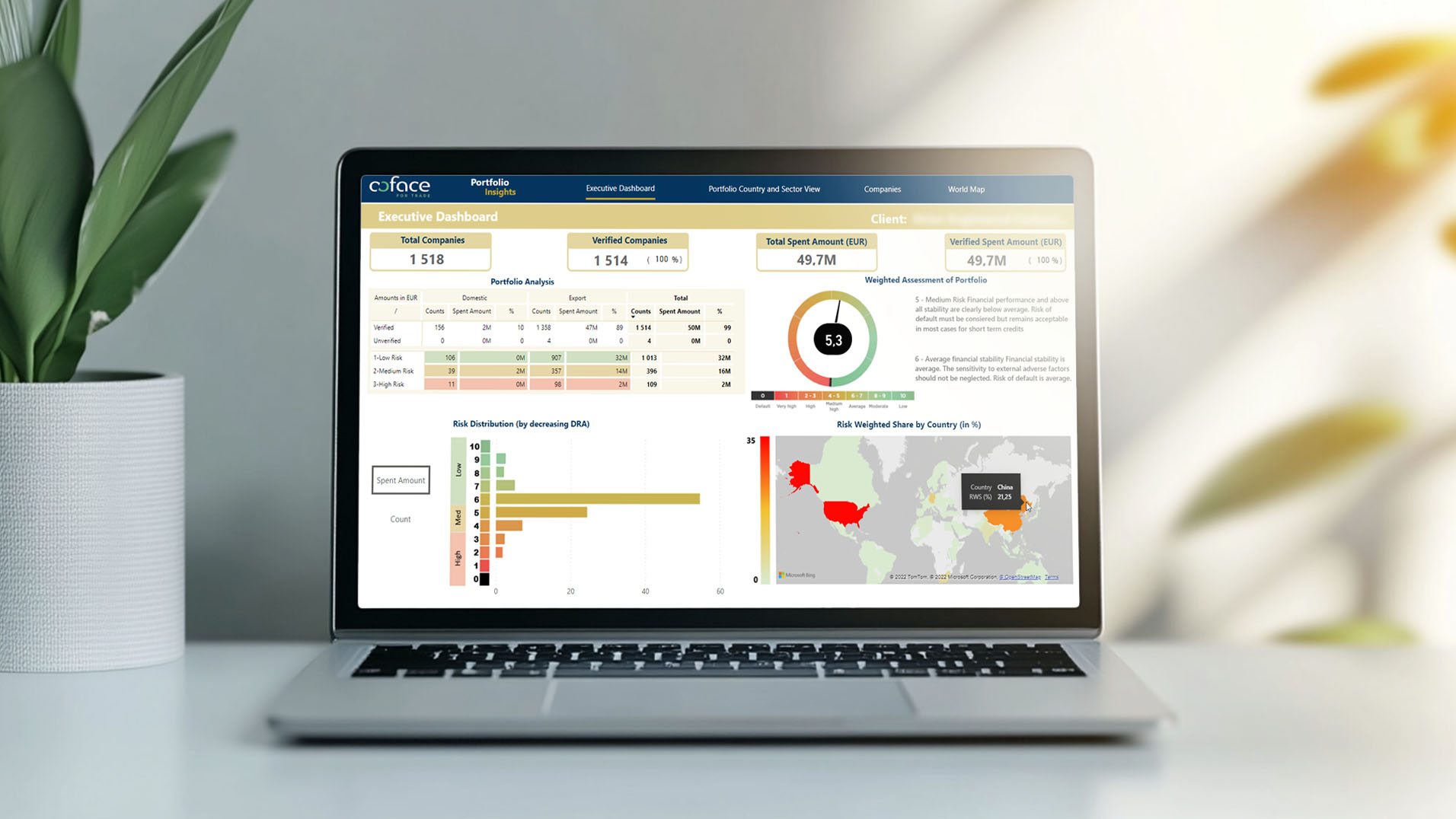 Portfolio insights | iCON by Coface